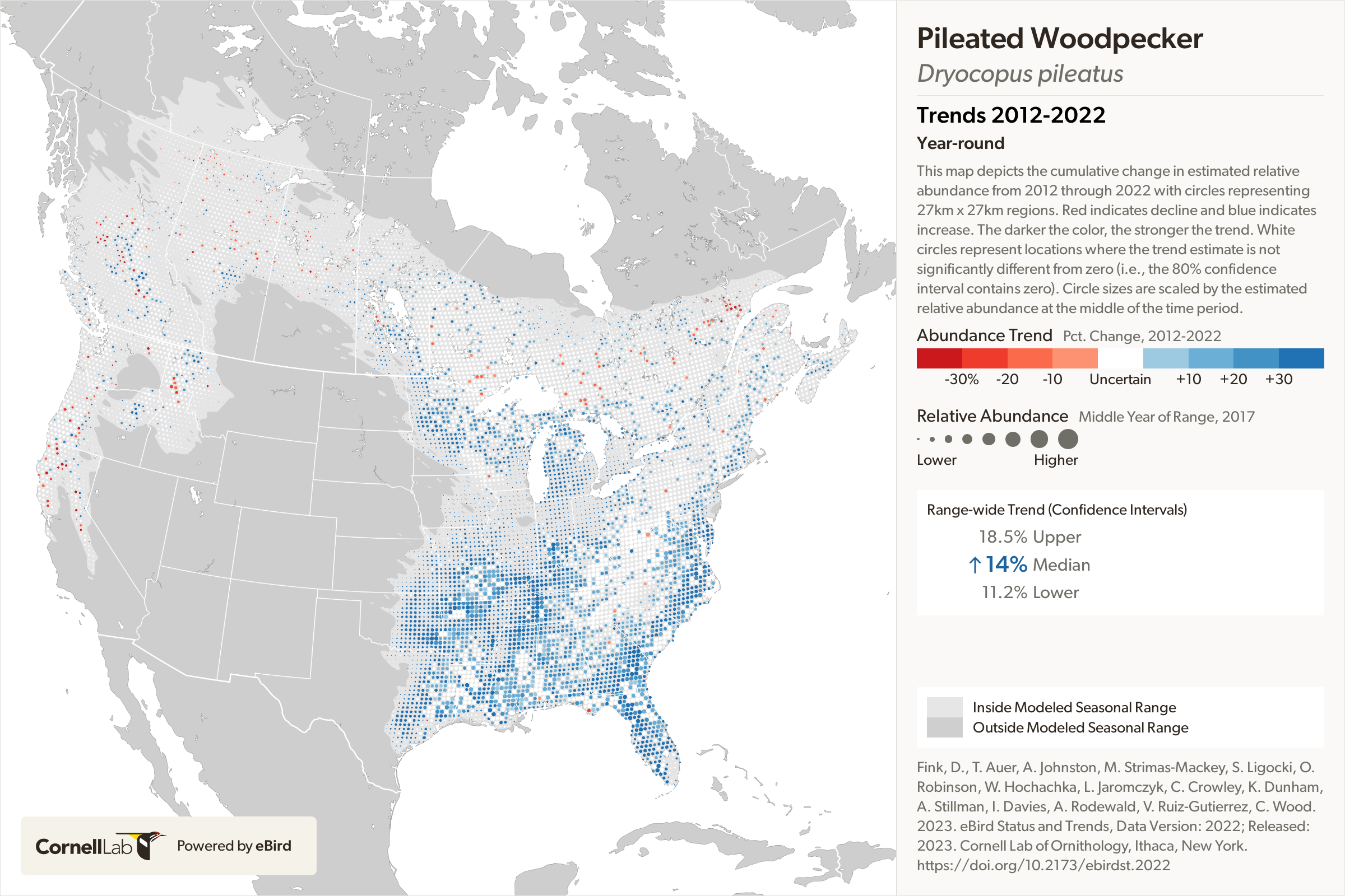 Pileated Woodpecker Territory